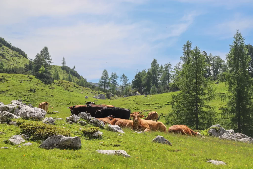 THE PERFECT 7 DAY AUSTRIA HIKING ITINERARY - Whereabouts Worldwide