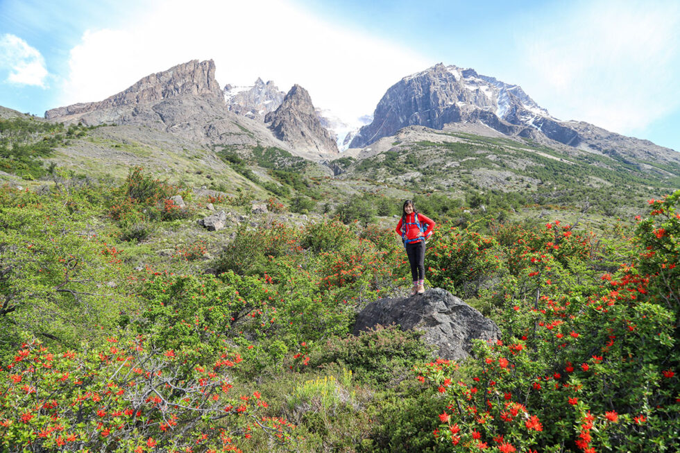 HOW TO HIKE PATAGONIA'S W TREK IN TORRES DEL PAINE - Whereabouts Worldwide