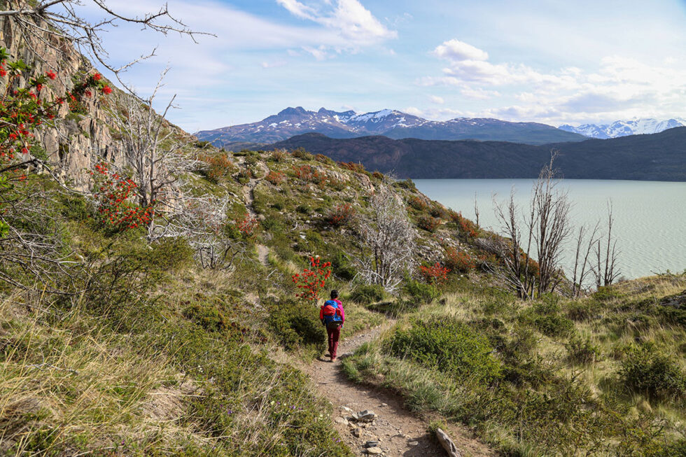 HOW TO HIKE PATAGONIA'S W TREK IN TORRES DEL PAINE - Whereabouts Worldwide