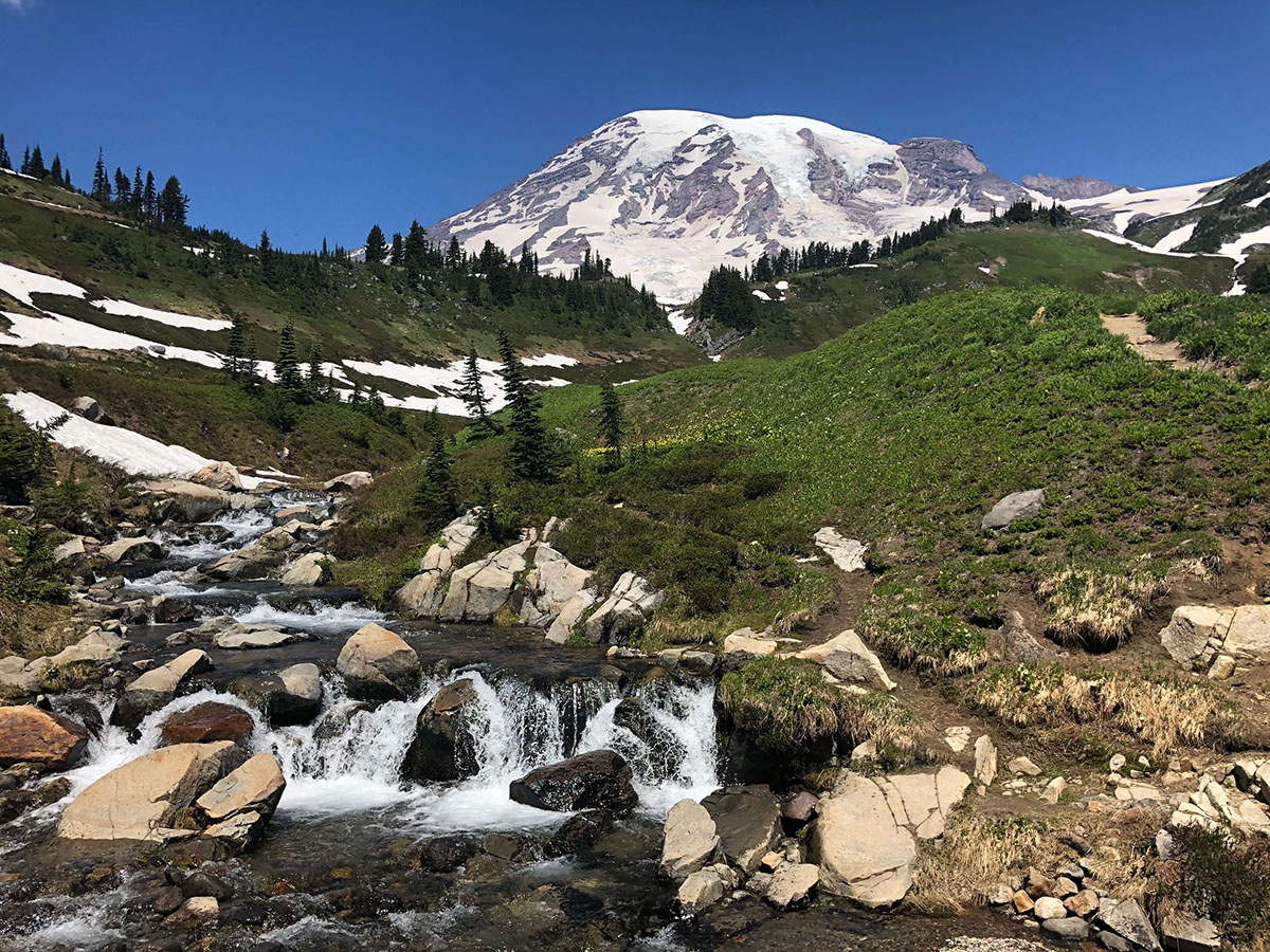 Ultimate Guide to Mount Rainier National park | Whereabouts Worldwide