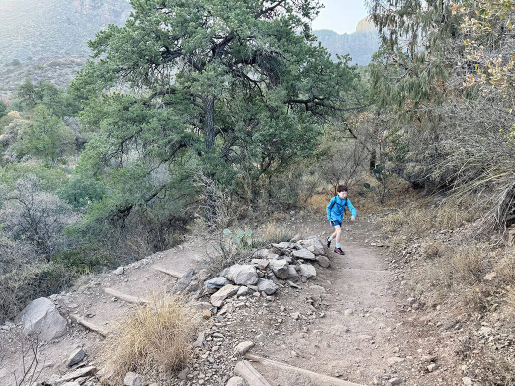 Step-By-Step Guide to the South Rim Loop and Emory Peak | Whereabouts ...