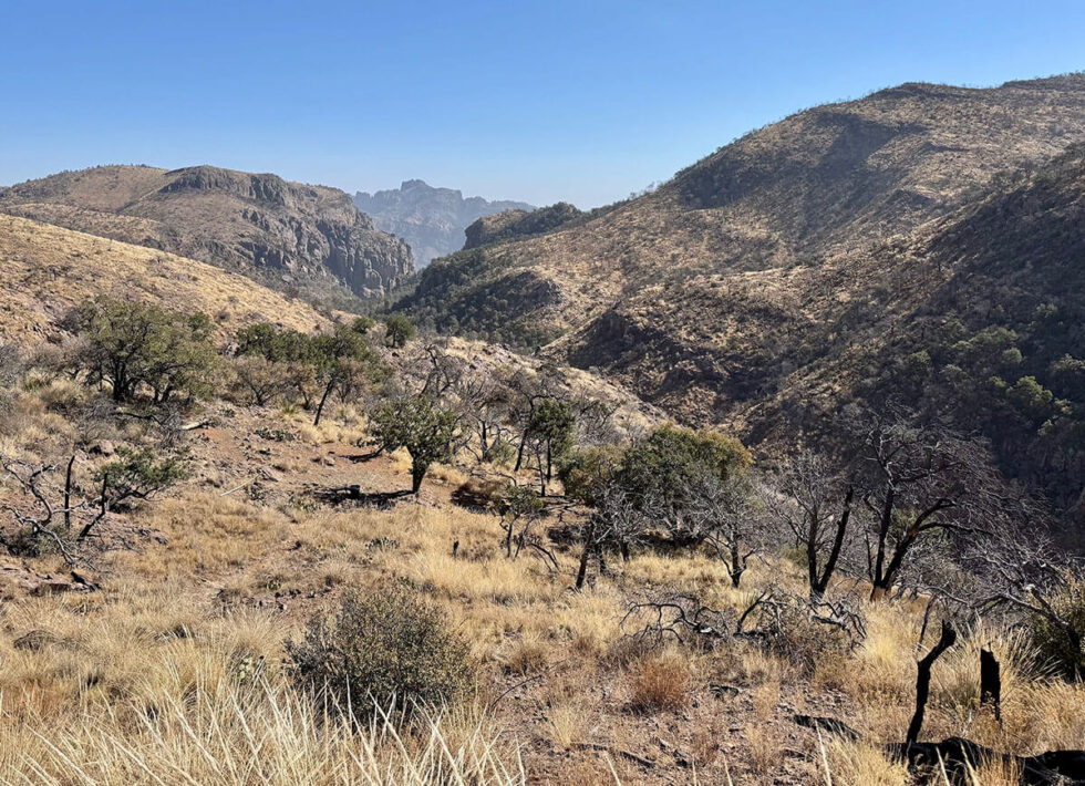 Step-By-Step Guide to the South Rim Loop and Emory Peak | Whereabouts ...