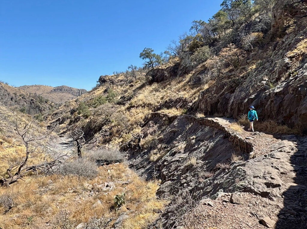 Step-By-Step Guide to the South Rim Loop and Emory Peak | Whereabouts ...