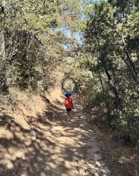 How to Hike the Lost Mine Trail in Big Bend National Park | Whereabouts ...